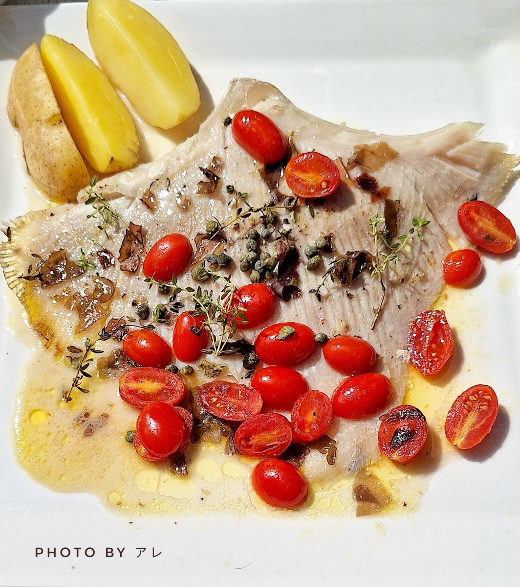 Ali di razza, la Bretagna e le alghe…un viaggio indimenticabile ...