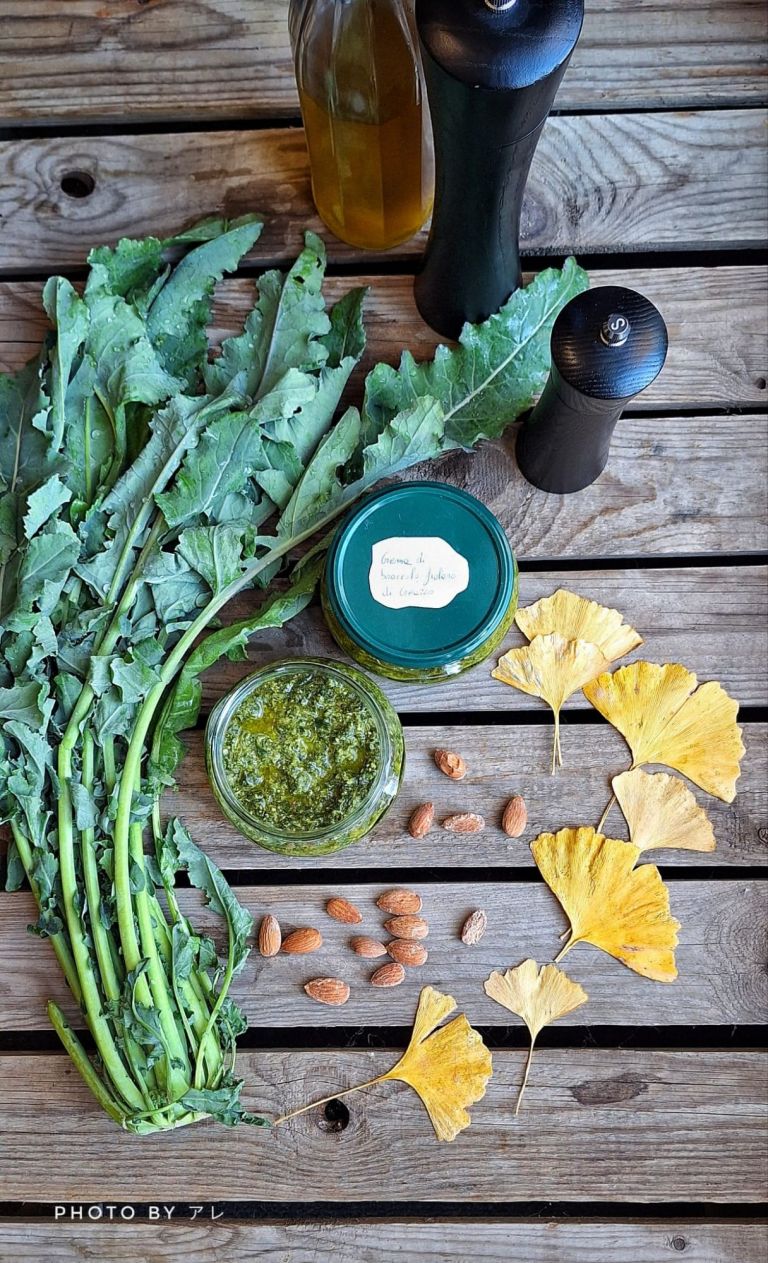 Fiolaro…broccolo…ma che chicca è!!! Prima ricetta. – PIATTORANOCCHIO